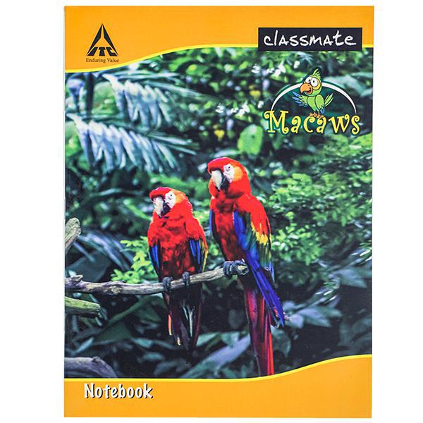 Buy Classmate Square 1 cm Notebook (24 cm x 18 cm) 120 Pages in ...