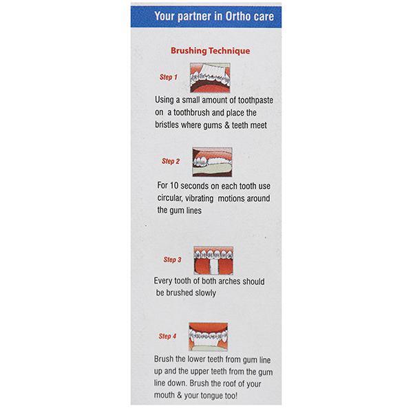 Buy Senolin Orthodontic Brush in Wholesale Price Online | B2B ...